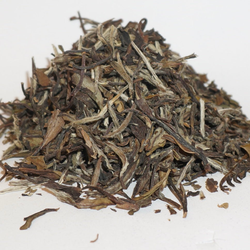 Premium White Tea – Canmore Tea Company